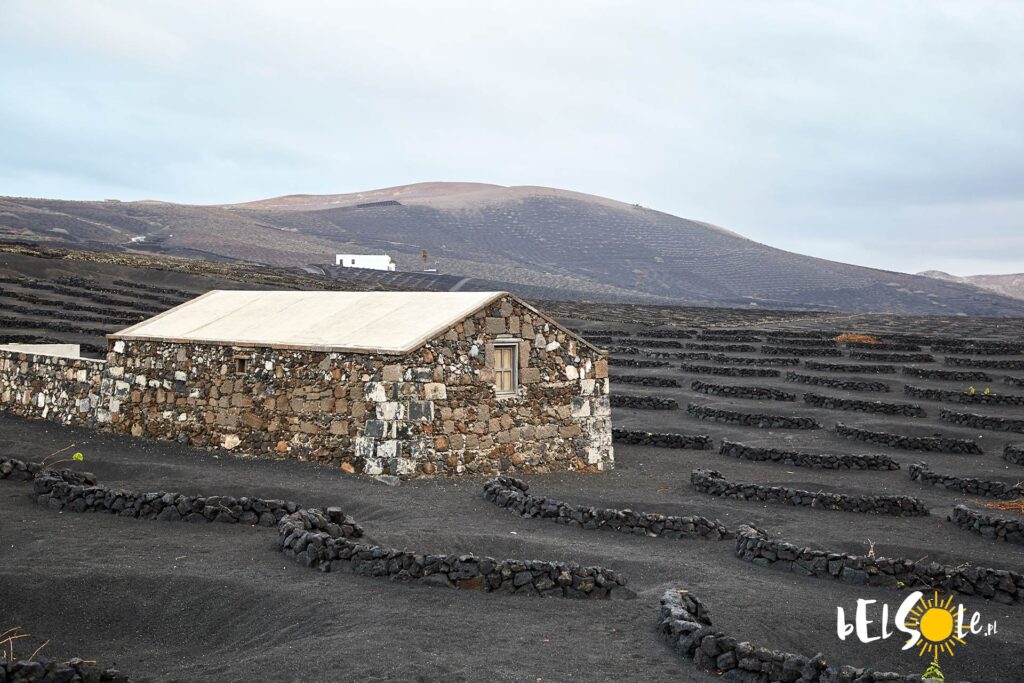 11 najlepsze atrakcje Lanzarote, co zwiedzić i zobaczyć. Wulkan i ocean ...