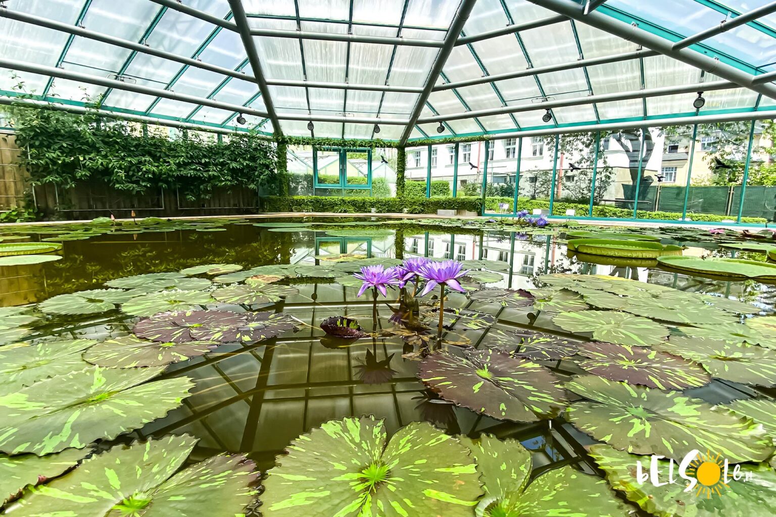 13 najlepsze atrakcje, Liberec nieznany? Co zobaczyć w Libercu? Okolice i najpiękniejsze miejsca ...